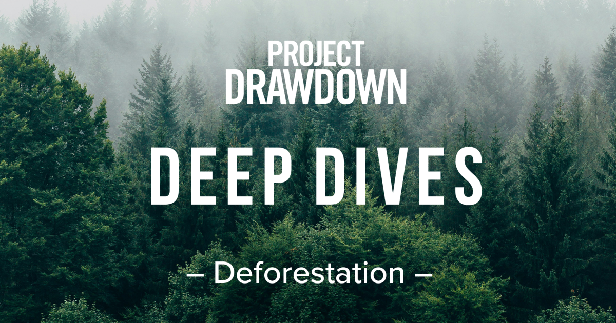 Halting & Reversing Deforestation | Project Drawdown®